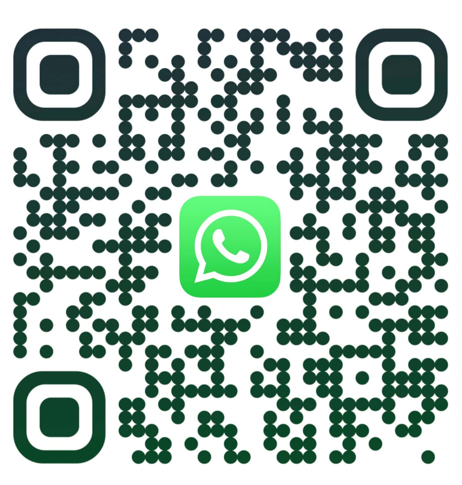 What is the Difference between Wikipedia and Wikimedia?